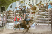 Brash Rodeo - Where Cowboy Tradition Lives On