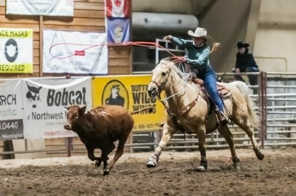 Brash Rodeo - Where Cowboy Tradition Lives On