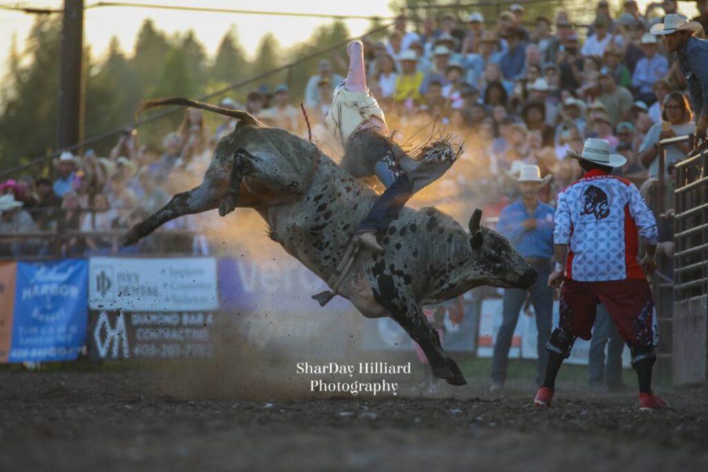 Brash Rodeo - Where Cowboy Tradition Lives On
